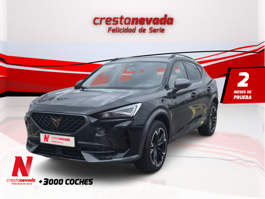 Cupra Formentor 20 Tsi 140kw 4drive Dsg